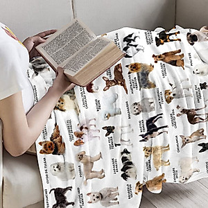 Dog Blanket for Adult Mens Womens, Ultra Soft Dog Throw Blanket for Dog Lovers, Lightweight Warm Cozy Blanket with Dog Pattern Plush Gifts for Christmas Thanksgiving Bed Couch Sofa 60x80in