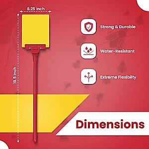 Slapstick Fly Swatter – Fly Catcher with Sticky Paper – Fly Trap for Flies, Mosquitos, Bugs – Efficient Fly Traps for Home – High Adhesive Power – Pack of 5 Adhesive Fly Strips - Now with Extra Packs