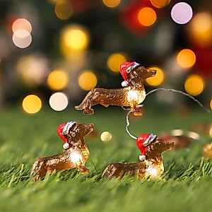 Ball Christmas Lights for Outside Puppy String Lights LED Battery Operated and Powered Fairy Lights Pet Theme Decoration Suitable for Indoor Wedding Birthday Party Wire Christmas (White, One Size)