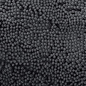 Furhaven XXL Runner Pet Door Mat Muddy Paws Absorbent Chenille Shammy Rug, Washable - Charcoal (Gray), Runner