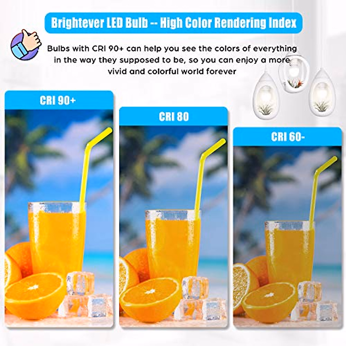 LED Light Bulbs 100W Equivalent 1500 Lumens, A19 13W 5000K Daylight White Non-Dimmable, Super Bright No Flicker Standard E26 Edison Screw Bulbs for Home, Bedroom, Office Lamp, 12-Pack