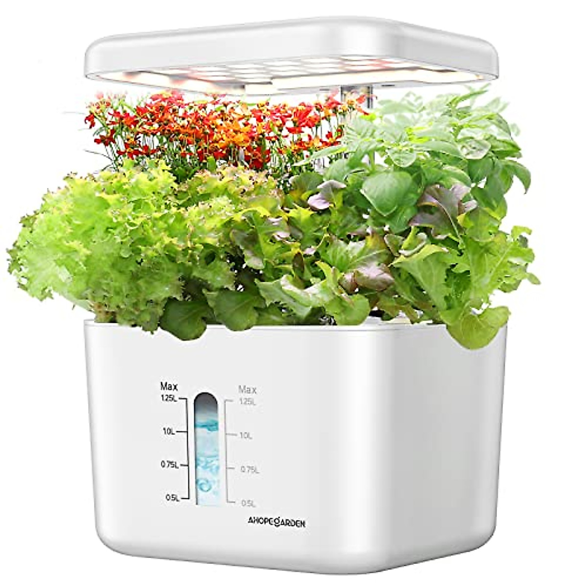 Ahopegarden Indoor Garden Hydroponic Growing System with 60pcs Grow Sponge Replacement