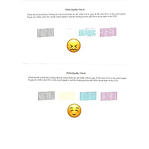 Printhead Hospital Printer Cleaning Kit for Epson Canon Brother and HP Printers - 500ml | Easy to use kit to Clear Printer nozzles