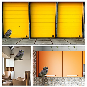 ROLY BEE 8.2 x 8.2-inch Realistic Owl Removable Vinyl Sticker for Windows (or Any Flat Surface)
