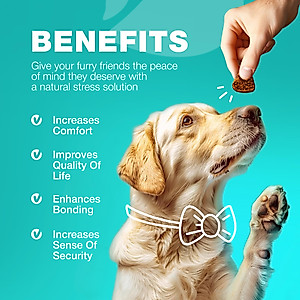 No Poo Chews for Dogs - Coprophagia Deterrent for Dogs - Forbid for Dogs Stool Eating Deterrent - Dog Probiotics for Digestive Health - Digestive, Gut & Immune Health Treats - No Poop Eating for Dogs