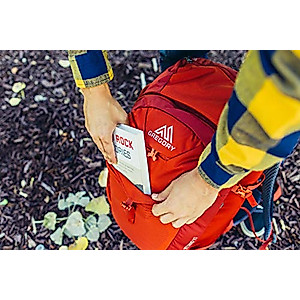 Gregory Men's Backpack, Orange (Ferrous Orange), One Size