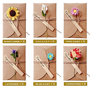 Yayatty Pack of 30 PCS Greeting Card Invitation Cards, 6 Style Kraft Paper Card Birthday Card Thank You Card with Dried Flowers for Christmas Birthday, 4.1 x 2.8 Inch