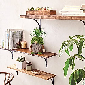 Succulent Air Plant Gnomes Summer Green Plush Gnomes with Slender Leaves Tomte Handmade Scandinavian Decor Cacti Nordic Dwarf Home Tiered Tray Shelf Sitter Decor Collection Garden Gift Cactus Lovers