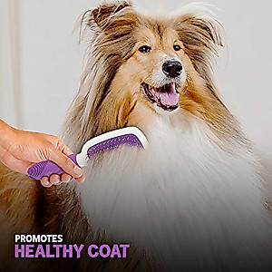 Stainless Steel Grooming Brush For Dogs - Ever Gentle Slicker Brush With Rubber Handle And Hook