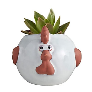 Needzo Round Succulent Planter Farmhouse Chic Ceramic Pig Shaped Plant Holder, Home Garden Office Desktop Decoration Small Flower Pot, 2.8 inches