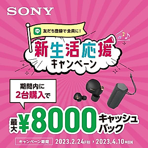 Sony WH-XB910N Wireless Noise Cancelling Headphones Equipped with High Performance, Neukan Performance, LDAC Compatible, Heavy Bass Extra Bas (Black)