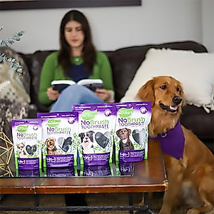 Every Day Naturals Dog Dental Chew, No Brush Toothpaste for Large Breeds, Freshens Breath, Unique Texture Helps Reduce Plaque & Tartar, 14 oz, 1 Pack