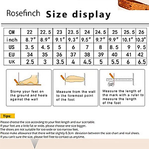Rosefinch Women's Latin Dance Shoes Satin Professional Ballroom Salsa Practice Performance Wedding Dancing Shoes，Dance High Heels for Women Beige 2.75inch Heel