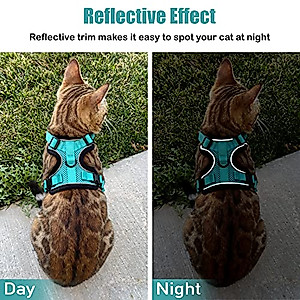 Mewo Cat Harness and Leash - Escape Proof, Soft, Comfortable, Reflective, & Adjustable, for a Safe & Snug Fit (Aqua Marine, Small)