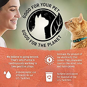 Purina Beyond Chicken, Beef and Carrot and Turkey, Sweet Potato and Spinach in Wet Cat Food Gravy 12 Ct Variety Pack - (2 Packs of 12) 3 oz. Cans