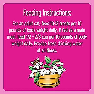 TEMPTATIONS Classic Crunchy and Soft Cat Treats Blissful Catnip Flavor, 16 oz. Tub