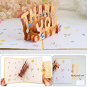 Niewalda Thank You Pop Up Card, 5.9x7.9-3D Pop Up Greeting Card, Thank You Card for Family, Teachers, Friends, Colleague