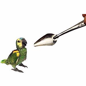 Quluxe 5 Pcs Bird Parrot Stainless Steel Metal Feeding Spoon, Special Feeding Scoop Medicine Spoons Hand Feeding Spoons for Peony Cockatiel Parrot