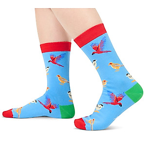 Funny Socks for Women Men Crazy Socks, Bird Gifts Animal Gifts, Bird Socks Parrot Socks Unisex Animal Socks