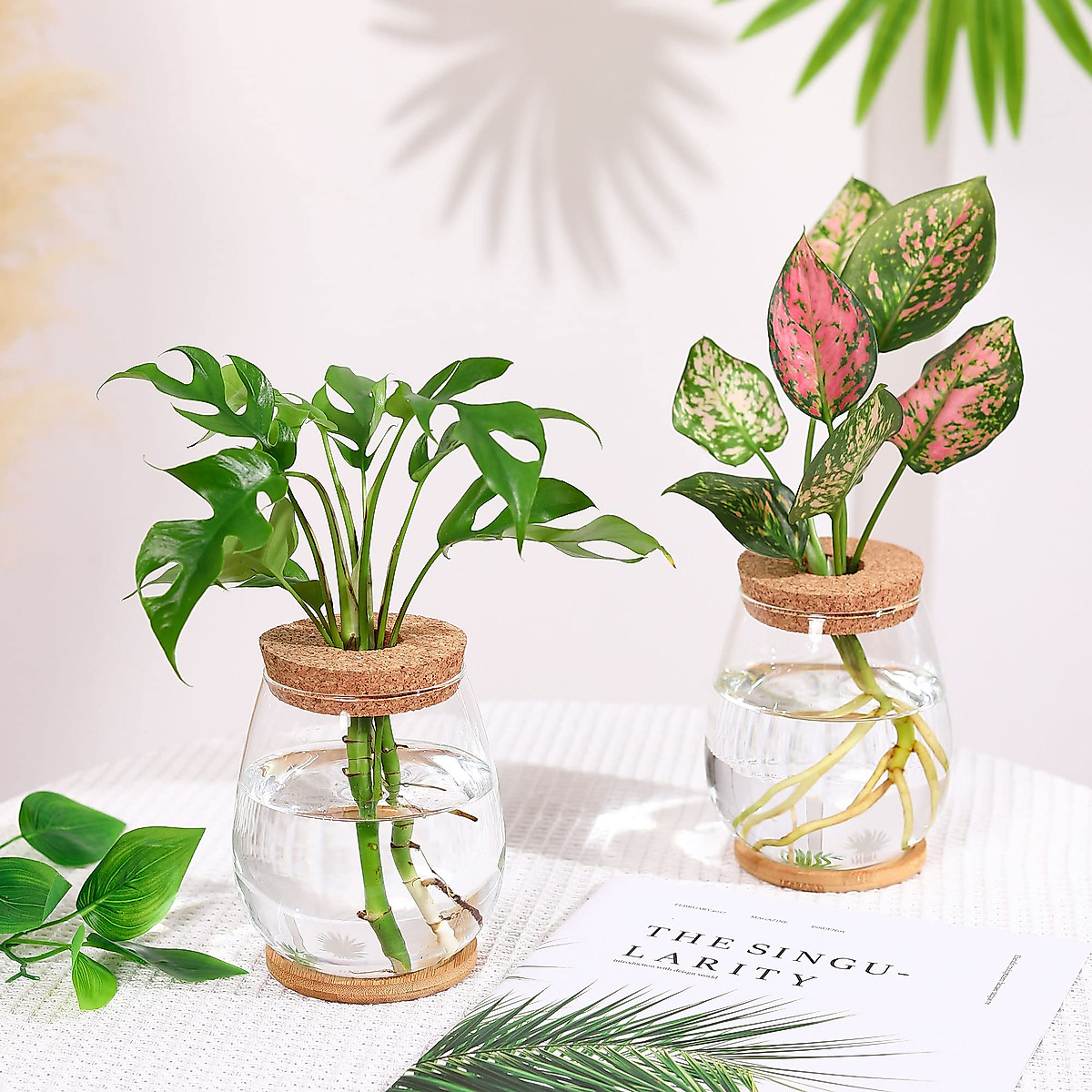 onepeng Propagation Stations, 2 Pcs Glass Planters with Wooden Tray & Lid, 5.2x4.2 inches, for Hydroponic Plants, Home Decor, Gardening Gifts for Women