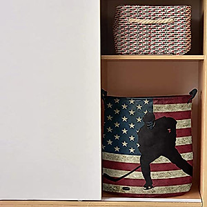 Laundry Hamper, Hockey Sport Theme Athlete Rustic American Flag Collapsible Clothes Hamper with Handles Water Repellent Freestanding Storage Basket for Clothes Toys