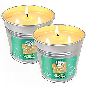 2 Packs Large Citronella Candles Outdoor Indoor, 110 Hours Burn 20 oz 3-Wick Scented Candles, Soy Wax Fly Candle for Home Garden Patio Yard Camping Balcony Travel