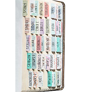 DiverseBee Laminated Bible Tabs (Large Print, Easy to Read), Personalized Bible Journaling Tabs, 66 Book Tabs and 18 Blank Tabs - Uniform Theme