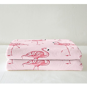 Feelyou Pink Flamingo Fleece Throw Blanket Tropical Flamingo Plush Blanket Bird Print Sherpa Blanket for Kids Nature Theme Fuzzy Blanket Baby 30"x40"