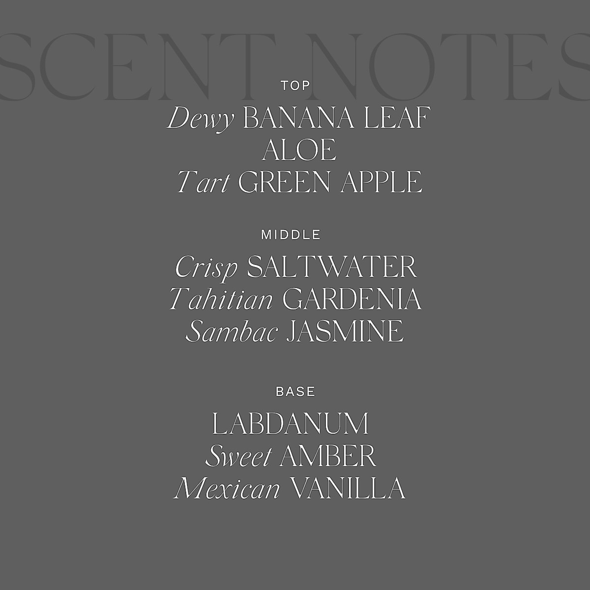 Antica Farmacista Scented Candle, Lush Palm, 9 Ounce