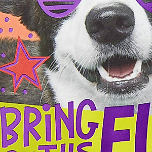 Hallmark Pop Up Birthday Card (Birthday Dog)