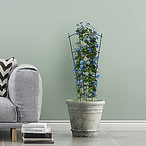 Thealyn 4 Pack 23'' Indoor Plant Trellis for Potted Plants Climbing, Outdoor Metal Garden Trellis Houseplants Flowers Vine Ivy,Fan Shape, Black