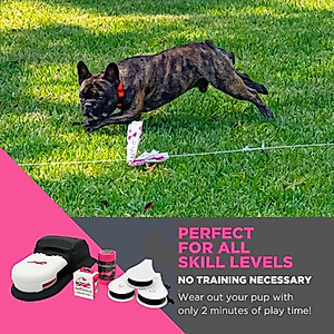 SwiftPaws - Home Original - Remote-Control Chase Toy - for Dogs - Flag Lure Course - Interactive Dog Enrichment Toy - Includes Main Unit, 3 Pulleys, Battery, Charger, Flags, Line, Stakes, Tethers