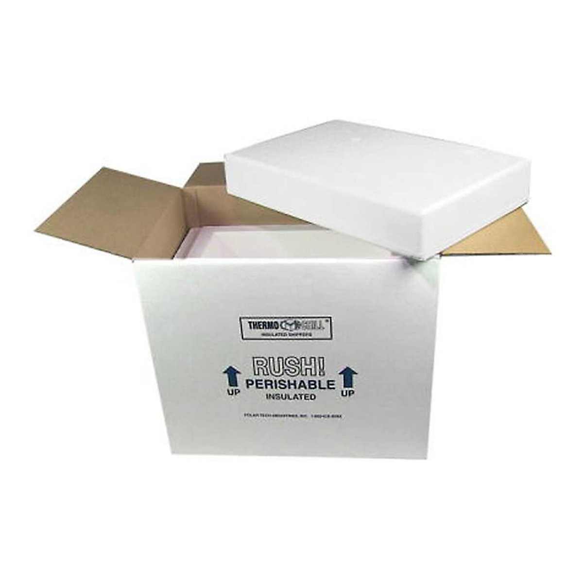 Polar Tech Thermo Chill 296/T96C Extra Large Insulated Foam Container, 23" Length x 14" Width x 23" Depth