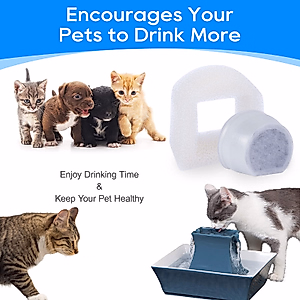 MyfatBOSS Cat Water Fountain Filter, Pre-Sponge Pet Fountain Filter & Replacement Carbon Filters Fit for Petsafe for Drinkwell Fountain-Gallon Avalon Pagoda Seascape Seaside Pet Fountains 8+8Pack