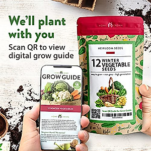 12 Winter Vegetable Seeds - Heirloom, Non-GMO Fall & Winter Vegetable Seeds for Planting Home Garden: Bean, Beet, Broccoli, Cabbage, Carrot, Cauliflower, Kale, Parsnip, Squash, Chard & More