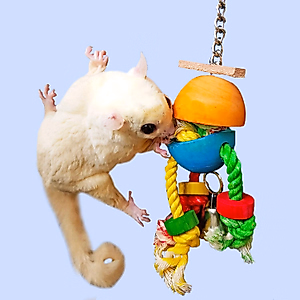 Cage Enhancement Set - Interactive Climbing Foraging Natural Branch Perch Cage Accessory Toy Bundle - for Sugar Gliders, Rats, Ferrets, Hamsters, Squirrels, Parrots, Birds, Marmosets, Degus, Monkeys