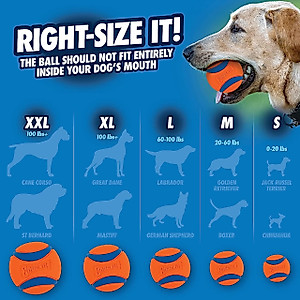 Chuckit! Ultra Tug Dog Toy, Medium Fetch and Dog Ball Tug Toy for Dogs 20-60 Pounds
