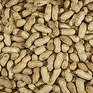 Kaytee Peanuts in Shell for Squirrels, Woodpeckers, Nuthatches, Jays, Towhees, Cardinals, Indigo Buntings, and Other Wild Birds, 5 Pound