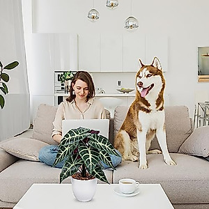 Briful Fake Plant 15" Realistic Potted Artificial Plant, Alocasia Amazonica Polly Faux Plant, Large Leaves Fake Houseplant Tropical Plant for Home Indoor Bathroom Living Room Wedding Decor