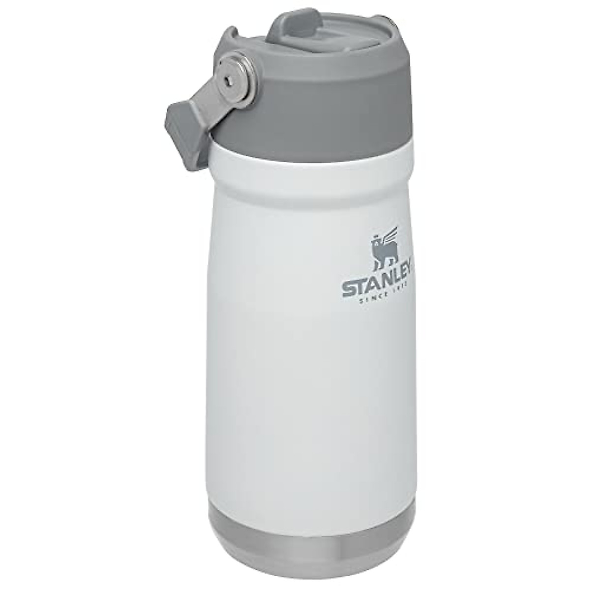 Stanley IceFlow Stainless Steel Water Jug with Straw, Vacuum Insulated Water Bottle for Home and Office, Reusable Tumbler with Straw Leakproof Flip, 17 ounces