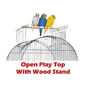 Large 64-Inch Open Dome Roof Top for Parrot Lovebird Cockatiel Cockatiels Parakeets Bird Cage with Removable Stand (20" x 20" x 64"H, Black Vein)