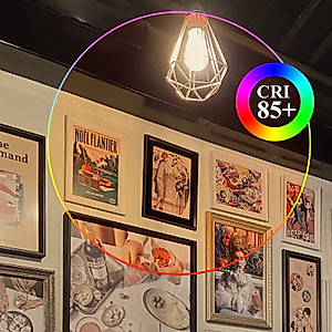 DiCUNO LED Edison Bulb 60 Watt Equivalent, Daylight White 4500K, Dimmable Edison Bulbs ST64, Antique LED Filament Bulb for Kitchen Lighting, 800 LM, Clear Glass, Pack of 4