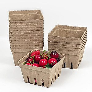 Rainmae 30 Pack Natural Pulp Fiber Berry Basket, Molded Berry Basket Produce Vented Container for Strawberry Blueberry Raspberry and Vegetable, Farmer Market, Grocery Stores, Backyard Party