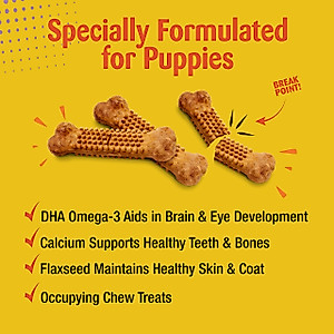 Nylabone Nubz Natural Turkey & Sweet Potato Flavor Edible Chew Treats for Dogs, Made in USA, Small - Up to 25 lbs. (8 Count)