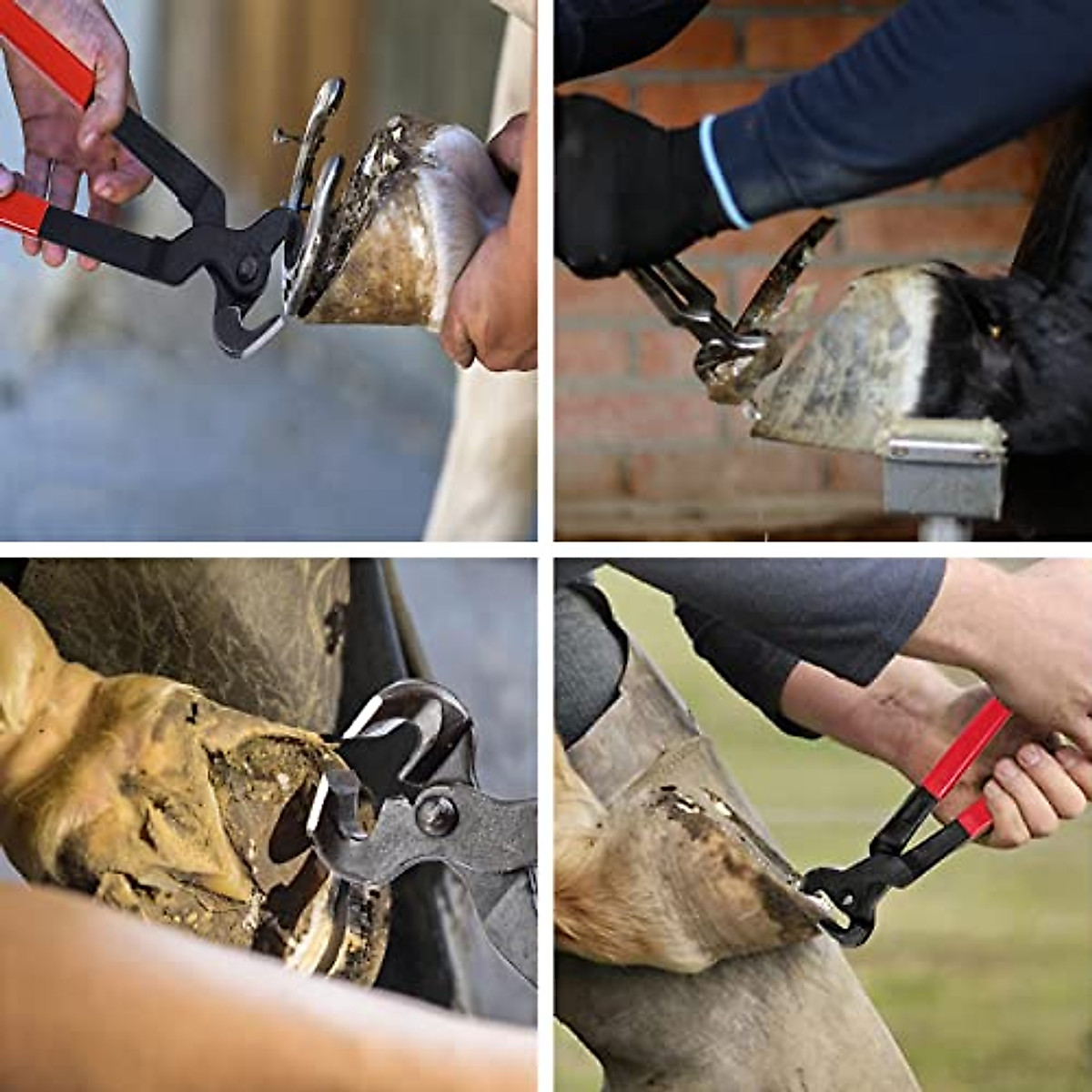 HEJKFVCL Farrier Tools12 Pcs Horse Farrier Tools Labor Saving Hoof Trimming Care Tools for Horses Cattle Sheep and Donkeys