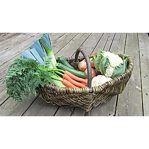 Nutley's Rustic Large Willow Vegetable Trug Basket