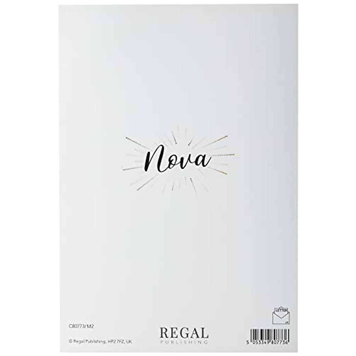 Regal Publishing Modern Milestone Age Birthday Card 21st Grandson - 9 x 6 inches -