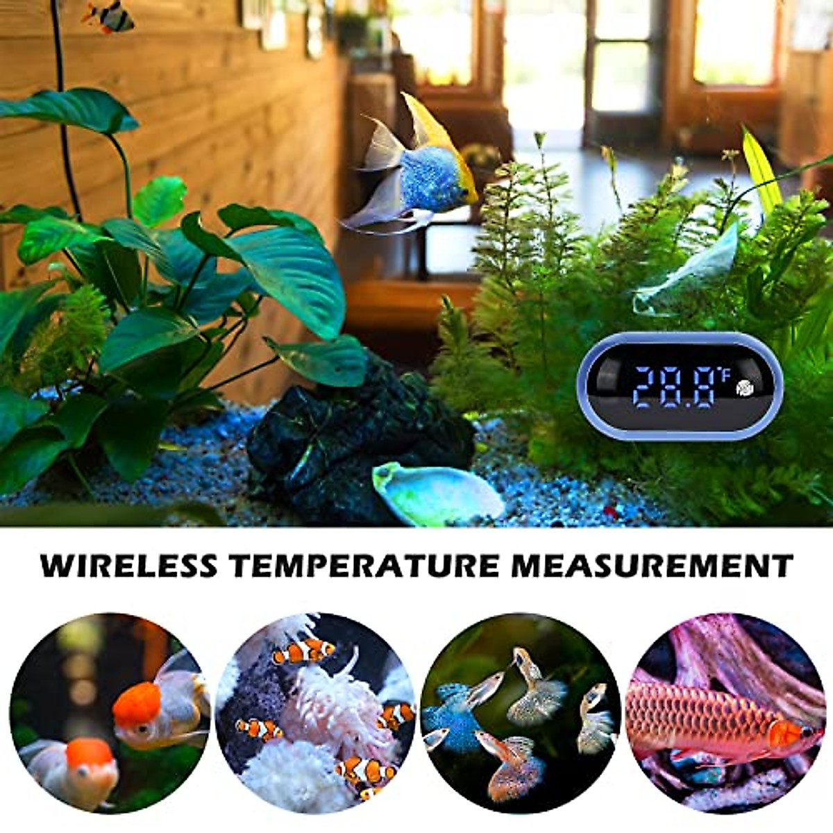 Aquarium Thermometer Digital - Fish Tank Thermometer, LED Fish Tank Thermometer with Touch Screen, Digital Fish Tank Thermometer with High Precision Sensor for Glass Containers, Turtle Tank, Aquariums