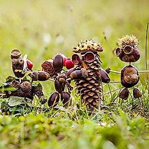 BigOtters 100 PCS Artificial Acorn, Fake Nutty Craft Acorns with Natural Acorn Cap Simulation Fruit Props for Vase Filler, Home House Autumn Favor, Thanksgiving Day Christmas Wedding Decor