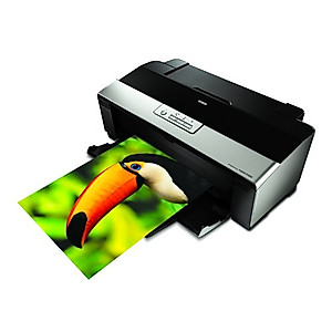 Epson Stylus Photo R1900 Large Format Photo Printer (C11C698201)